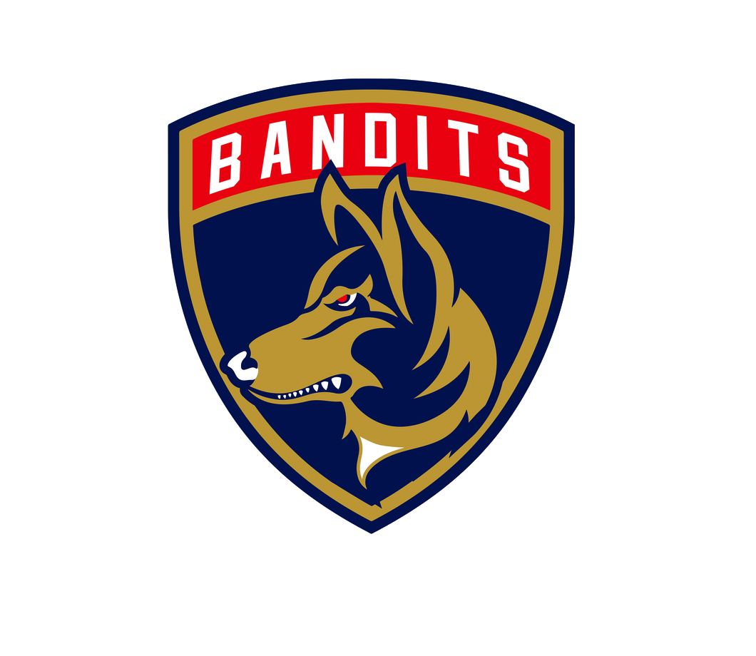 Community Games – THE OTTAWA BANDITS HOCKEY CLUB
